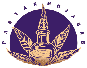 Damask Rose - Partak Mojarab